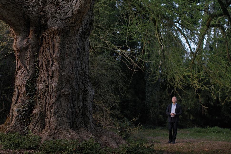 Shortcuts – A Damn Fine Cup of Culture